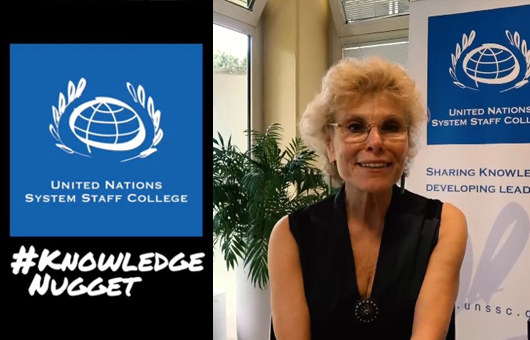 Knowledge Nugget: three points of wisdom on negotiation | UNSSC ...