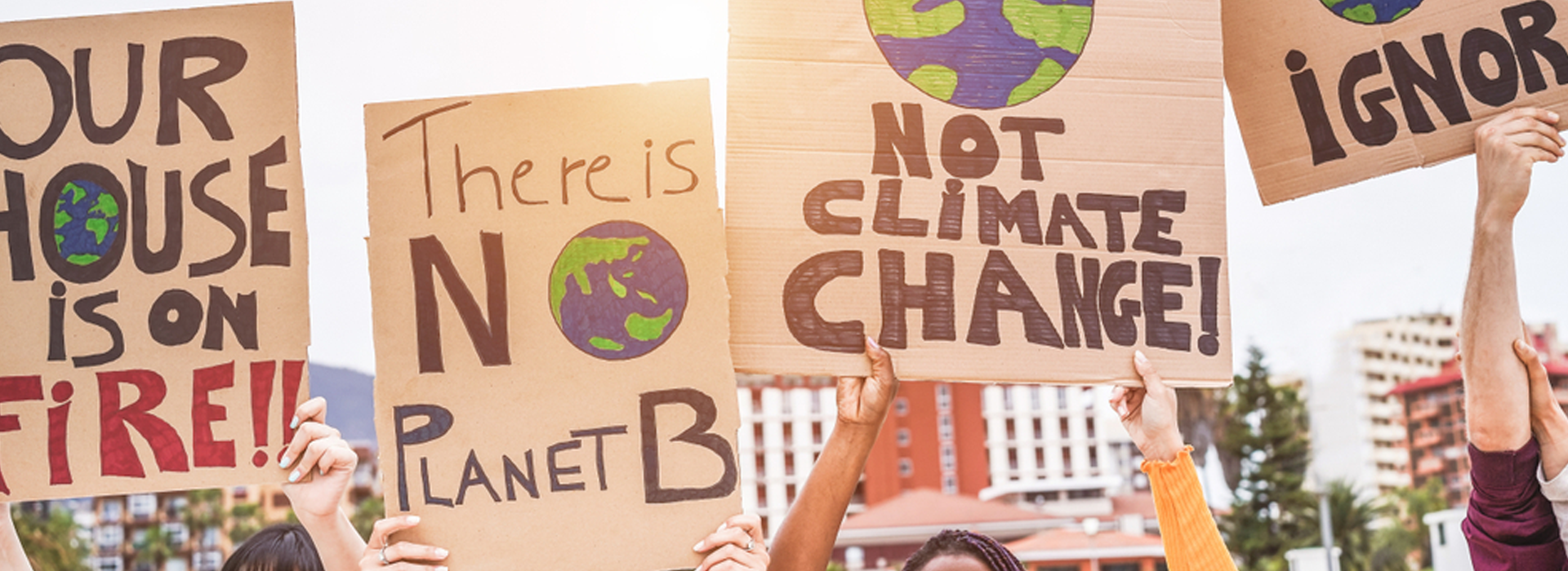 A thousand hands join together for record-breaking climate change ...