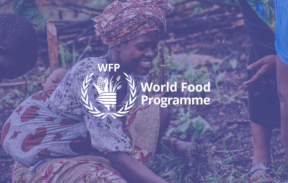 Theory-based approaches to evaluation | UNSSC | United Nations System ...