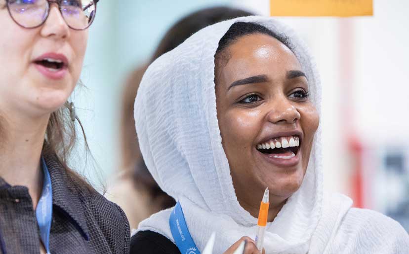 Pursuing Your Career in the UN | UNSSC | United Nations System Staff ...