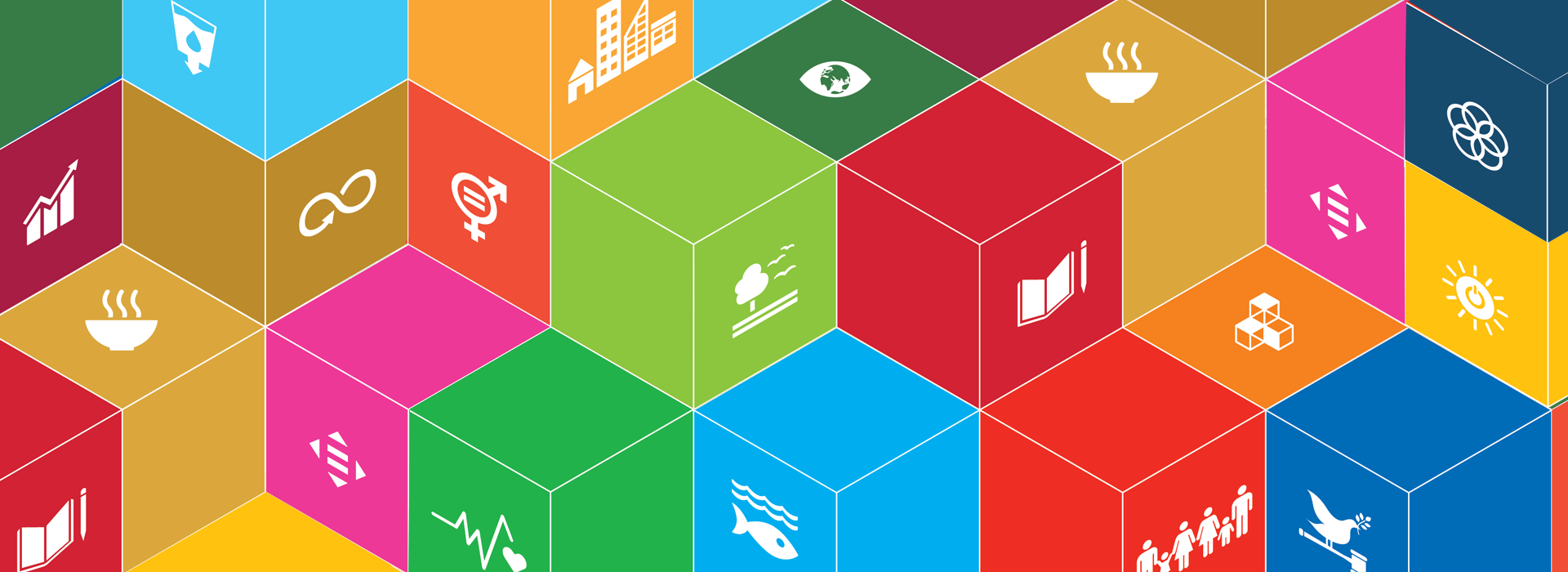 The SDG Primer | UNSSC | United Nations System Staff College