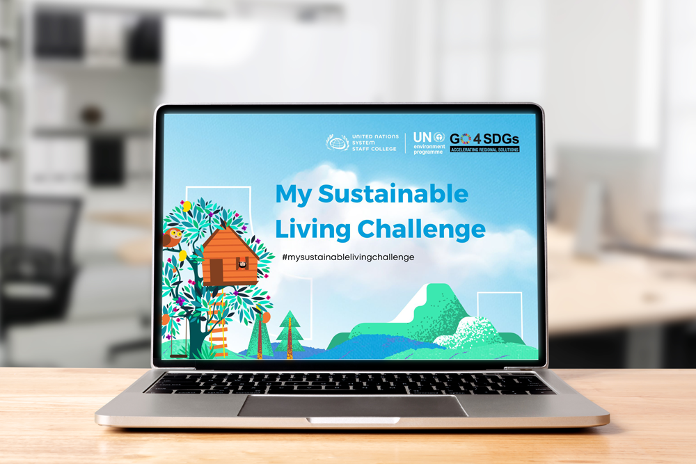 My Sustainable Lifestyles Challenge | UNSSC | United Nations System ...
