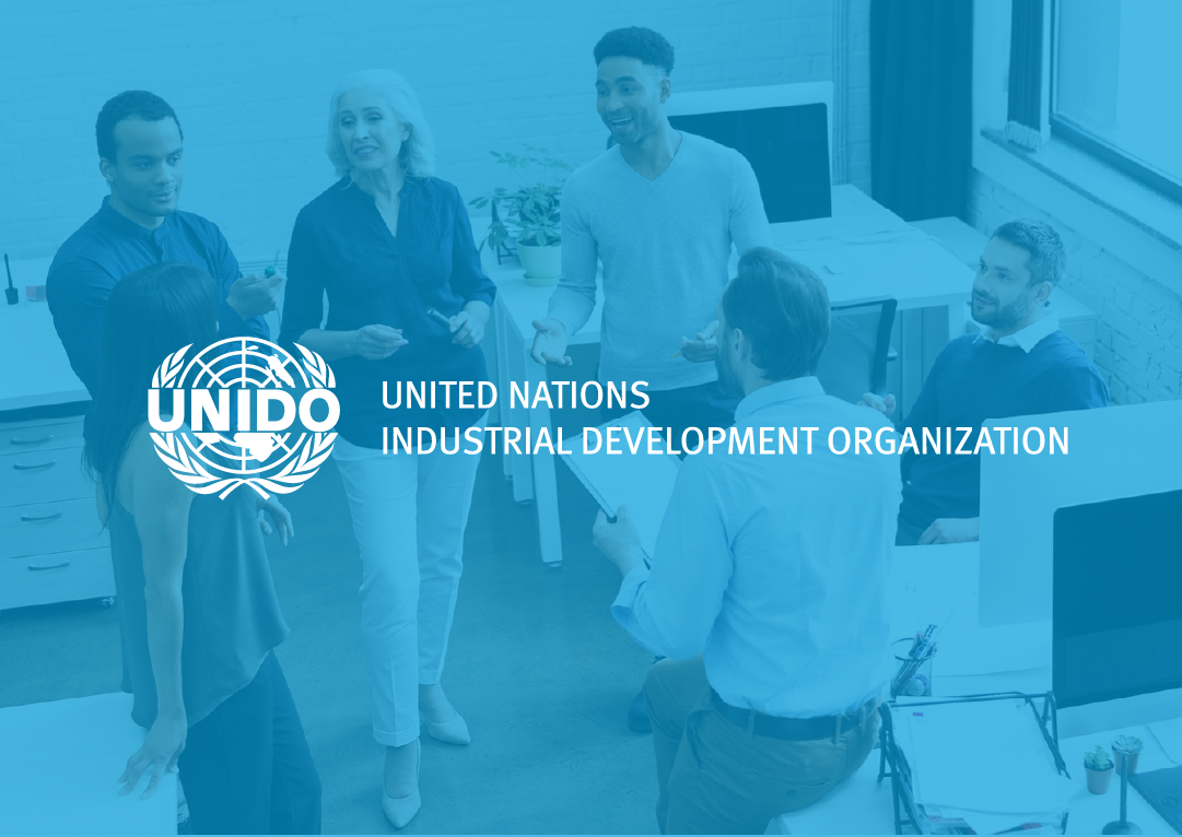 UNIDO Corporate Subscription to the Blue Line | UNSSC | United Nations ...