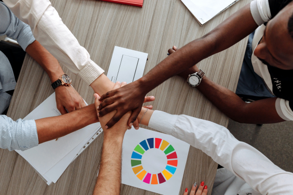 Creating Effective Private Sector Partnerships | UNSSC | United Nations ...