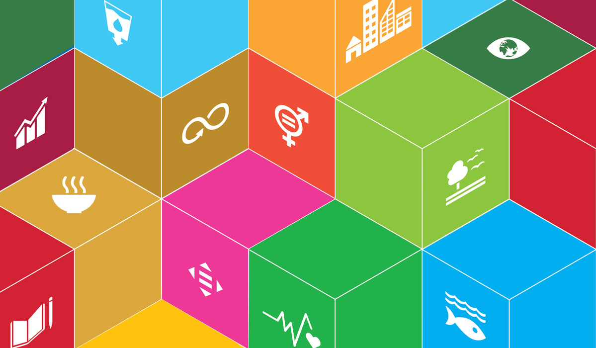 The SDG Primer | UNSSC | United Nations System Staff College