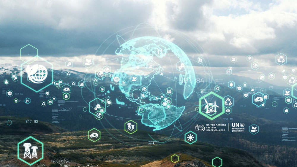 Digital4Sustainability Learning Path | UNSSC | United Nations System ...