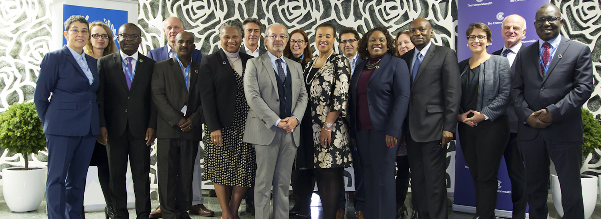 Partnering with the Commonwealth to harness synergies in Executive ...