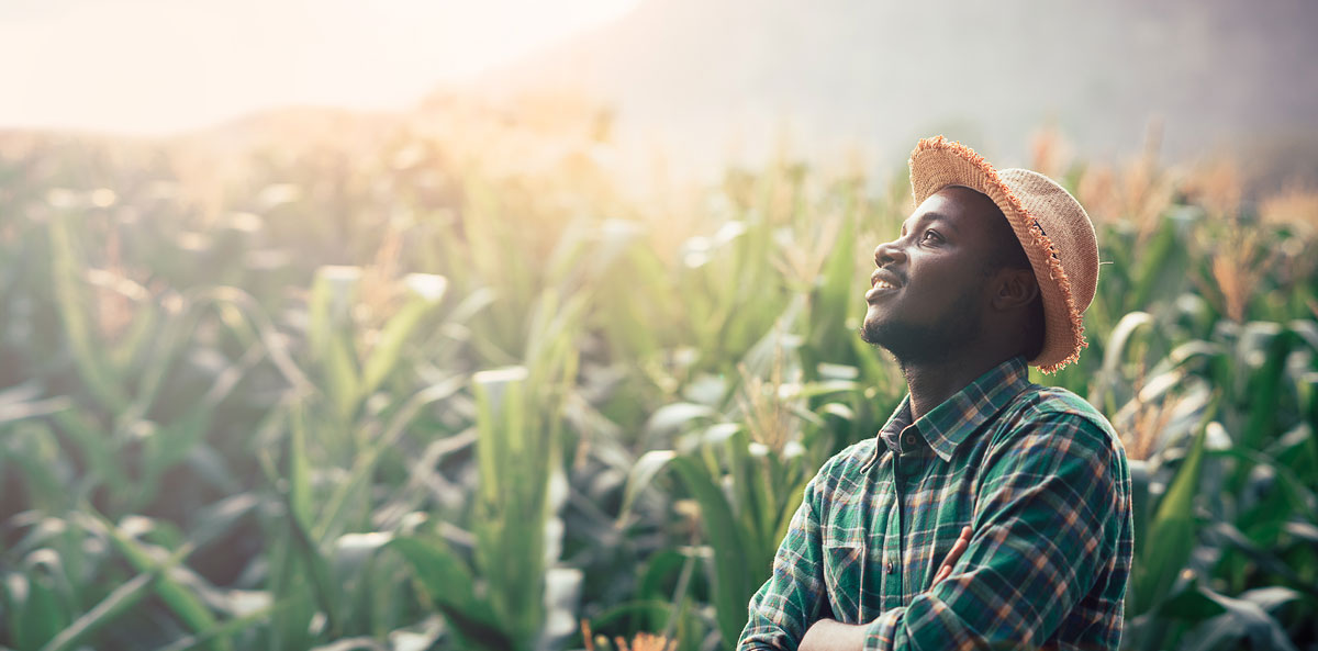 Our Results | UNSSC | United Nations System Staff College