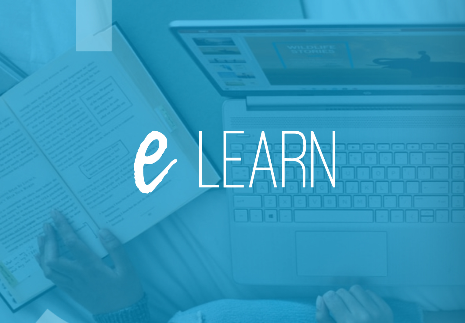 The Blue Line's Premium Catalogue | UNSSC | United Nations System Staff ...