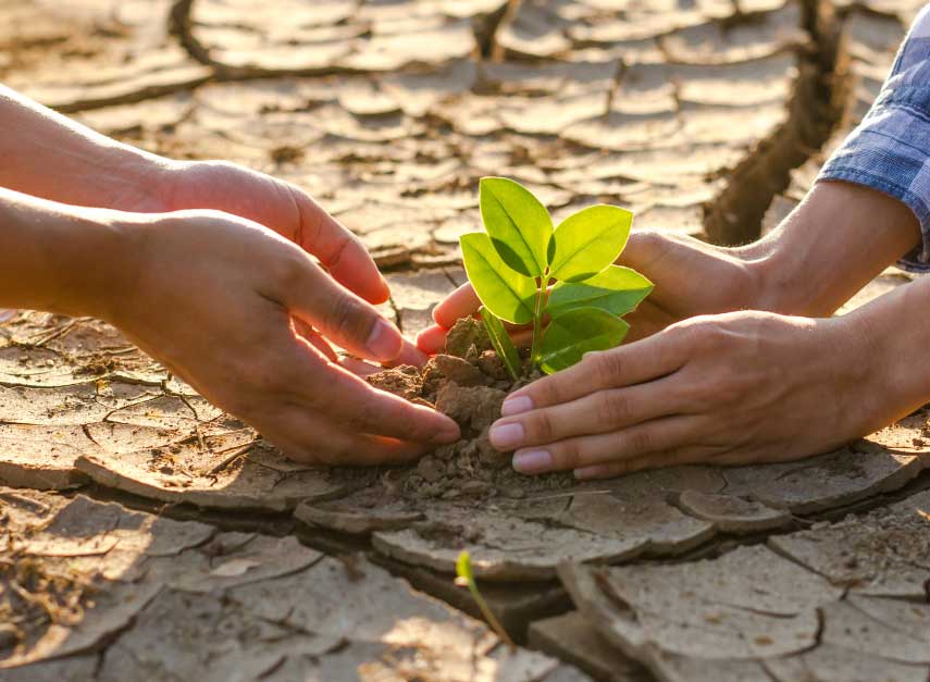 Climate action at a crossroads | UNSSC | United Nations System Staff ...