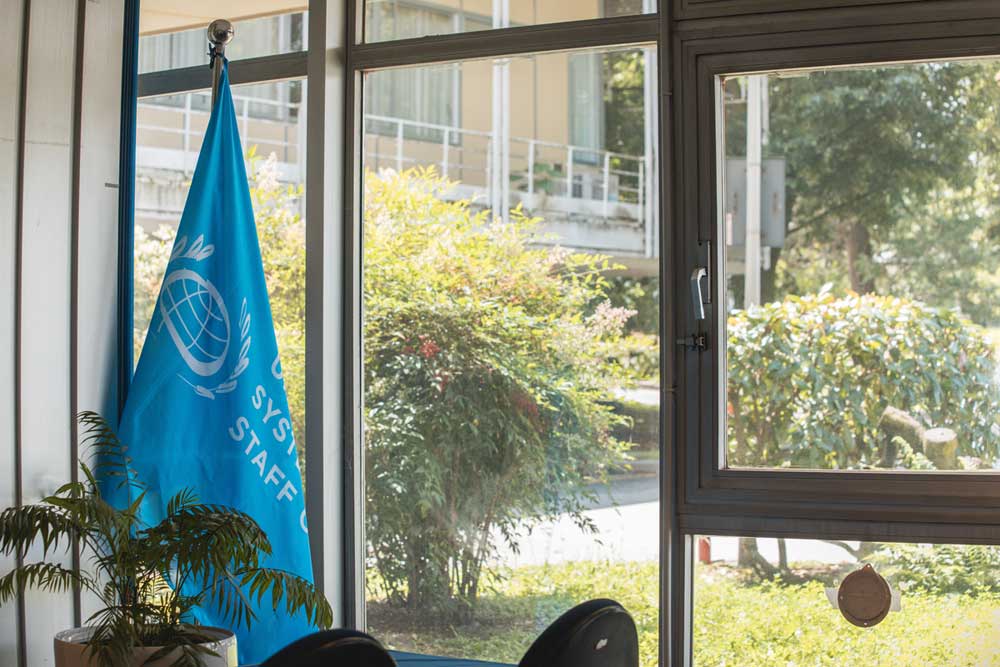 Equipped to get ahead in the UN system: A spotlight interview with JPO ...