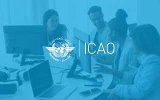 United Nations Disability Inclusion Strategy - Putting Words Into ...