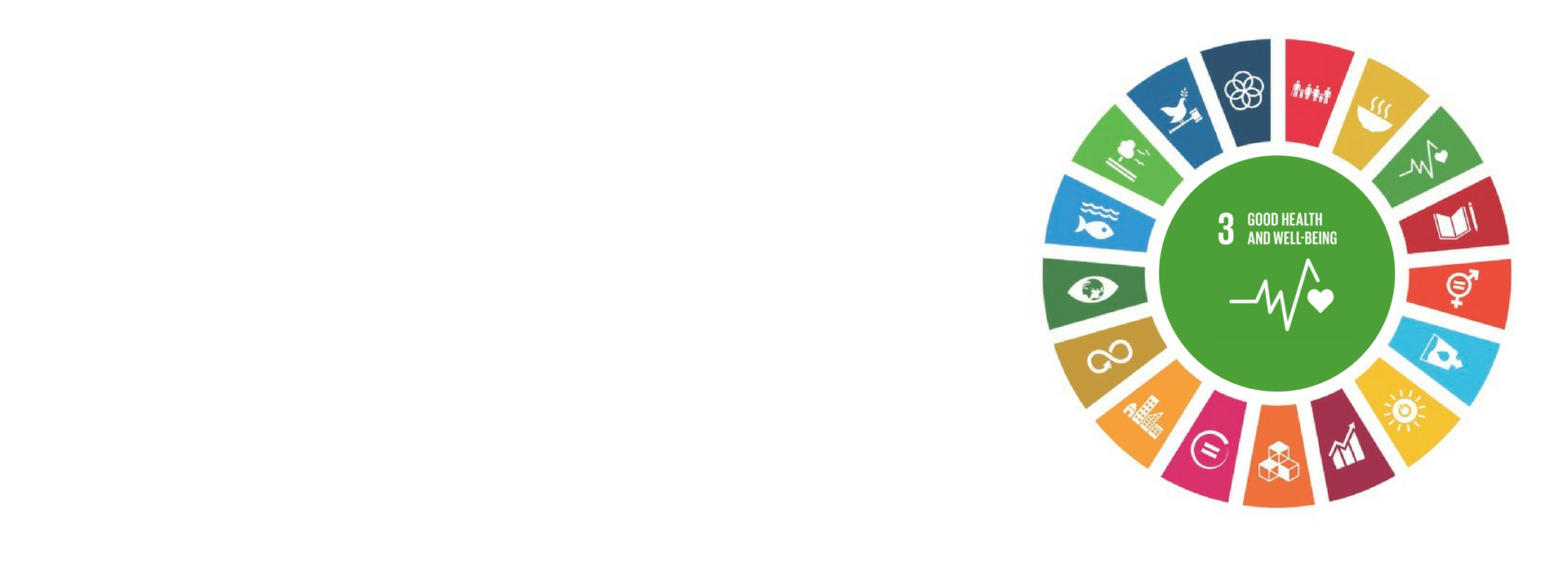 UNSSC and WHO launch online learning path on health and the 2030 Agenda ...