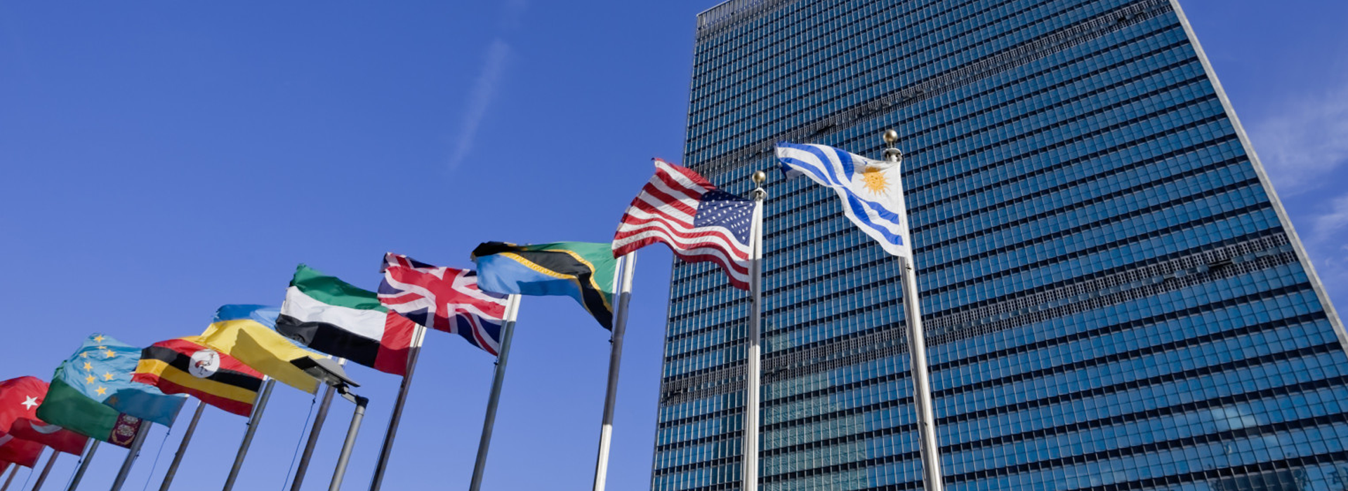 UN Procurement Training Campus | UNSSC | United Nations System Staff ...