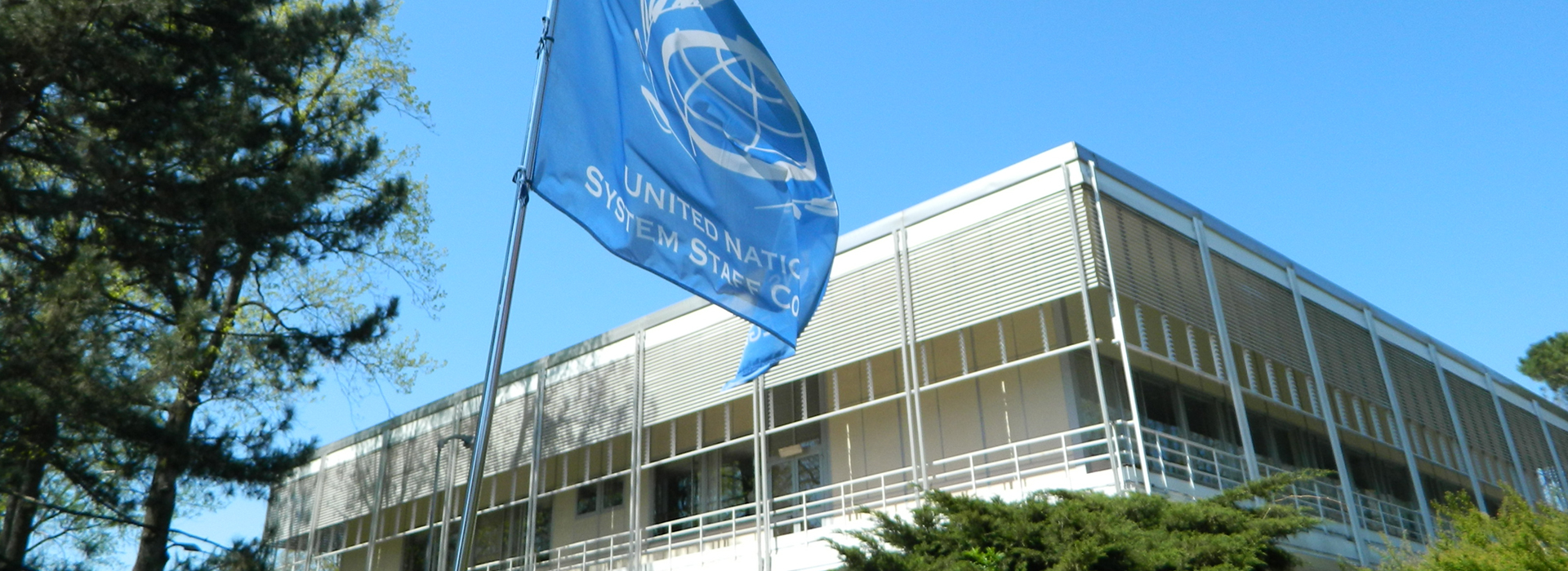 The United Nations System Staff College and the UN Development ...